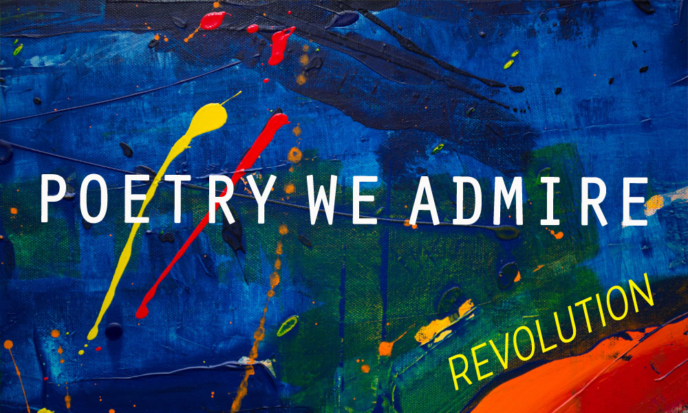 Poetry We Admire: Revolution - Palette Poetry
