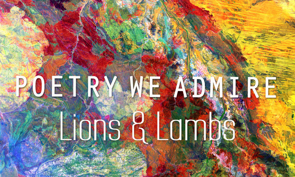 Poetry We Admire: Lions & Lambs - Palette Poetry