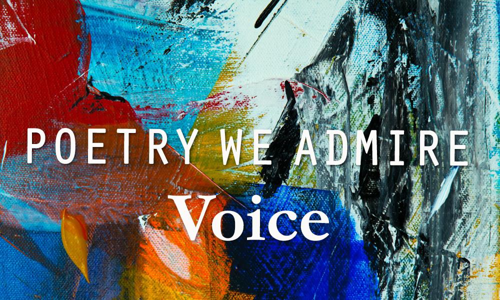Poetry We Admire: Voice - Palette Poetry