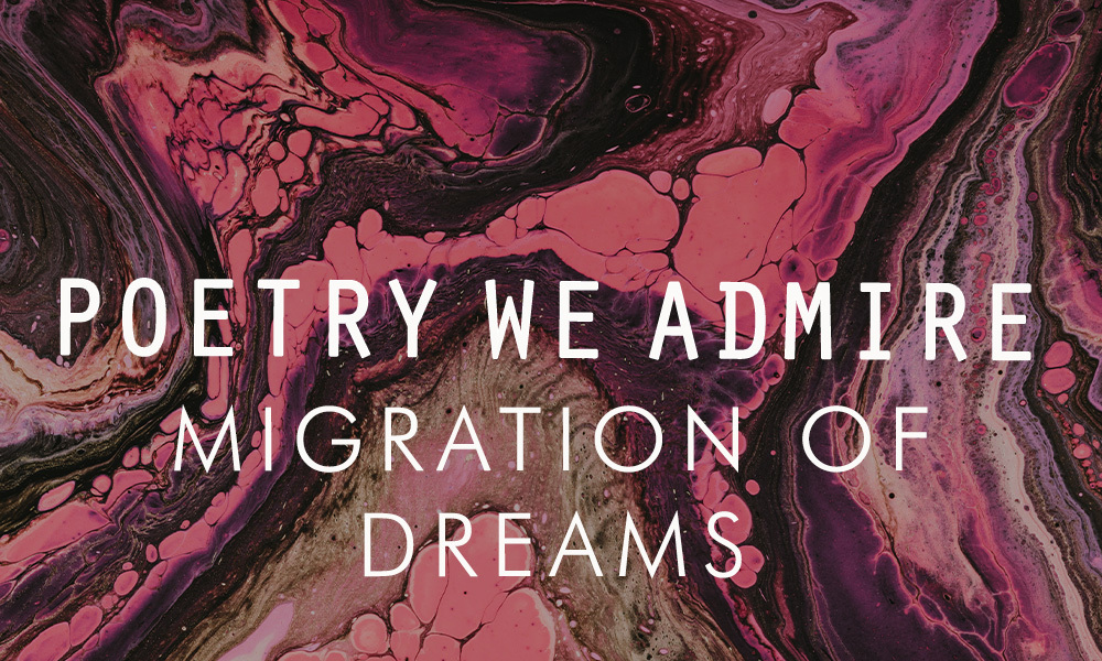 Poetry We Admire: Migration of Dreams - Palette Poetry