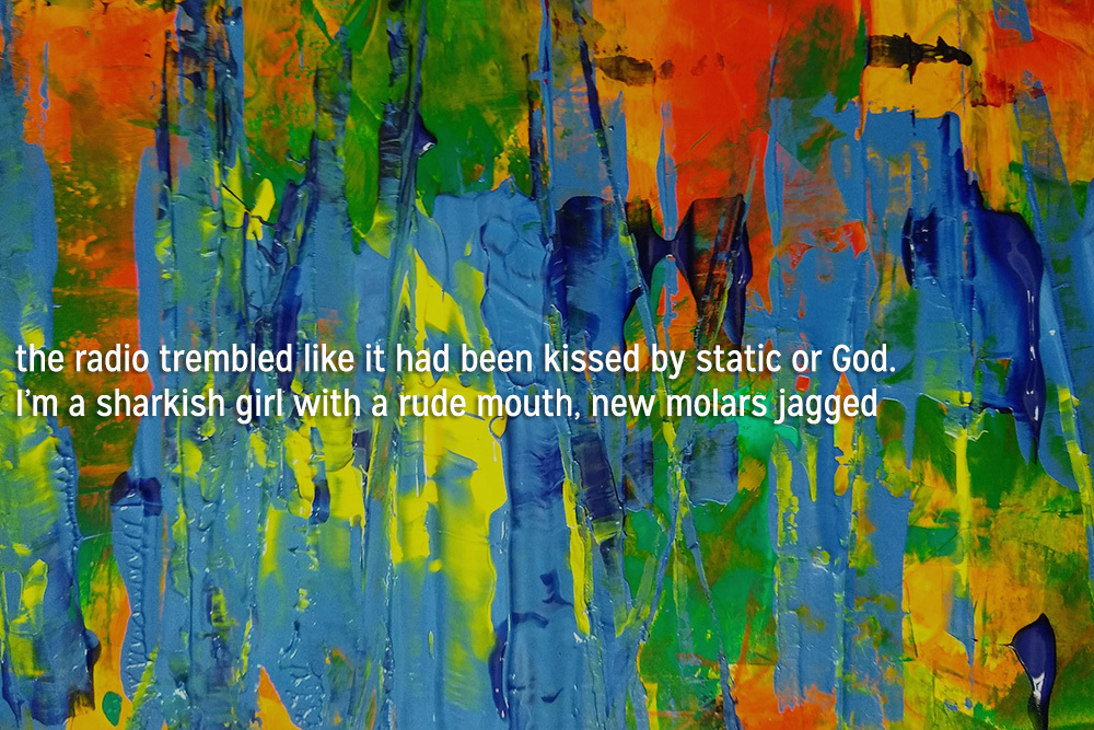 AUBADE WITH LOBOTOMIZED MOUNTAIN - Palette Poetry