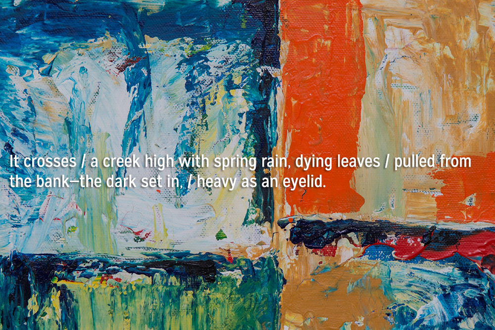 The Killing - Palette Poetry